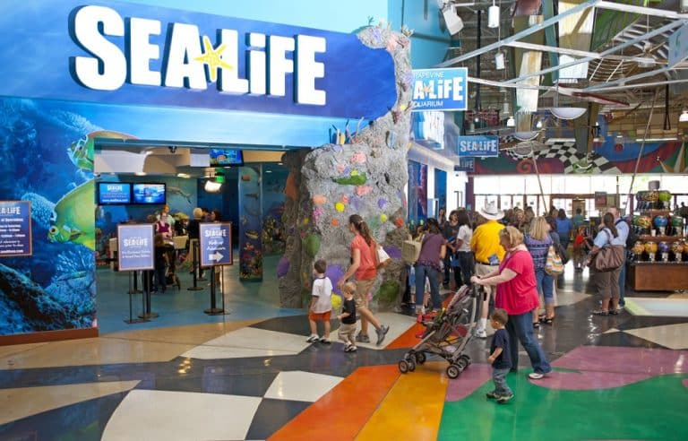 Grapevine Mills Mall Directory: Stores, Map & Opening Hours - Malls.com